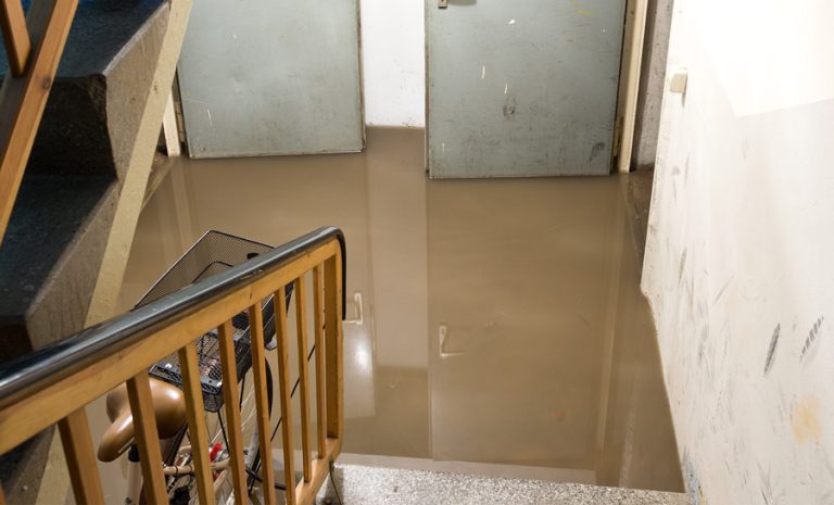 B-Dry System of Southeastern Michigan Inc. – Basement Waterproofing ...